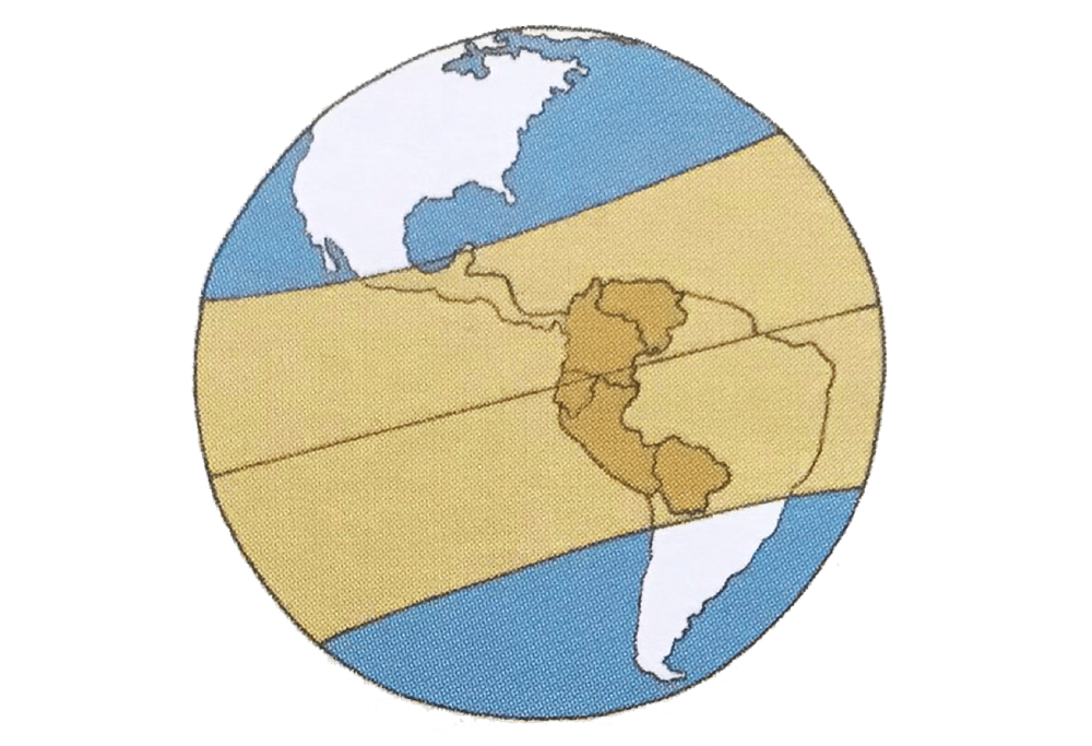 Ecosistemas andinos: una diversidad preciada - Andean Forests