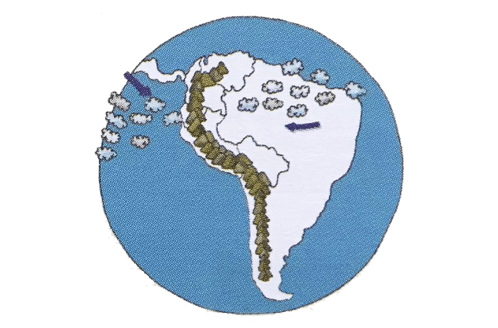 Ecosistemas andinos: una diversidad preciada - Andean Forests