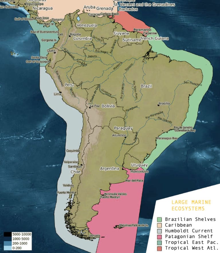 Ecosistemas andinos: una diversidad preciada - Andean Forests