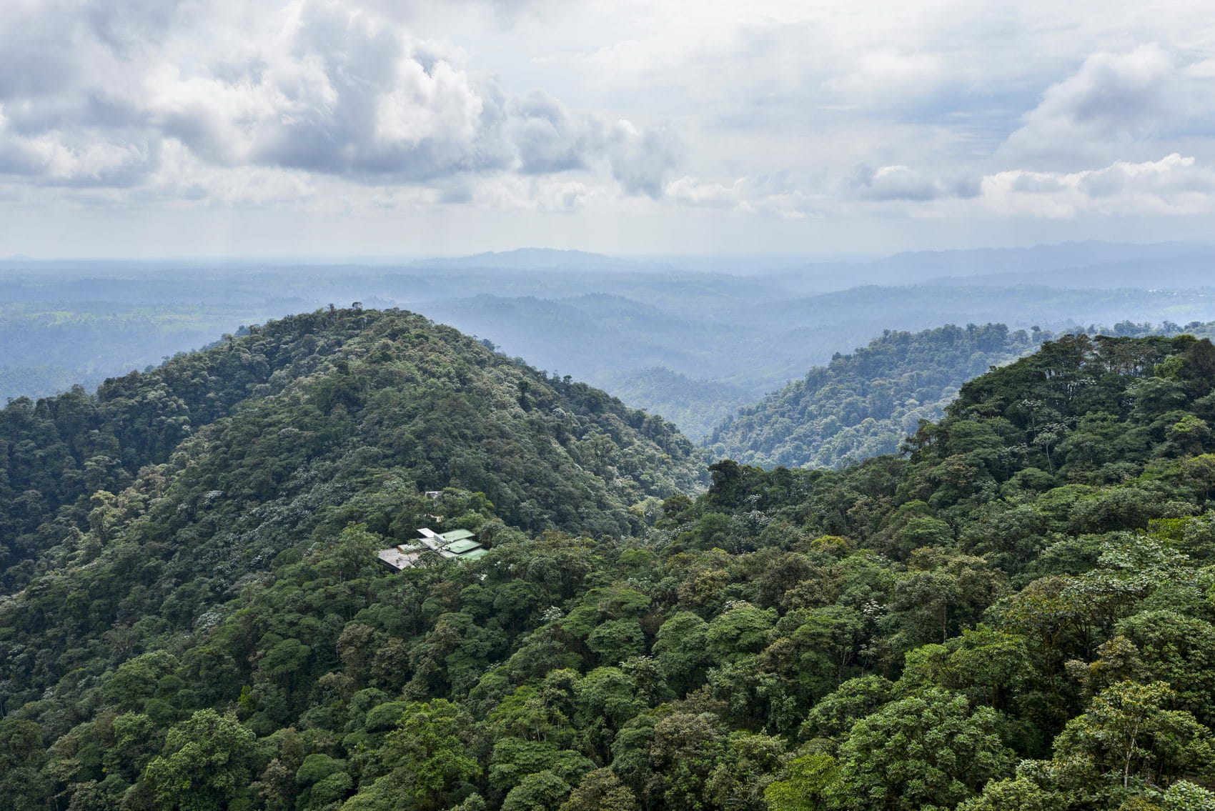 Acerca de Andean Forests: objetivos, equipo & partners - Andean Forests
