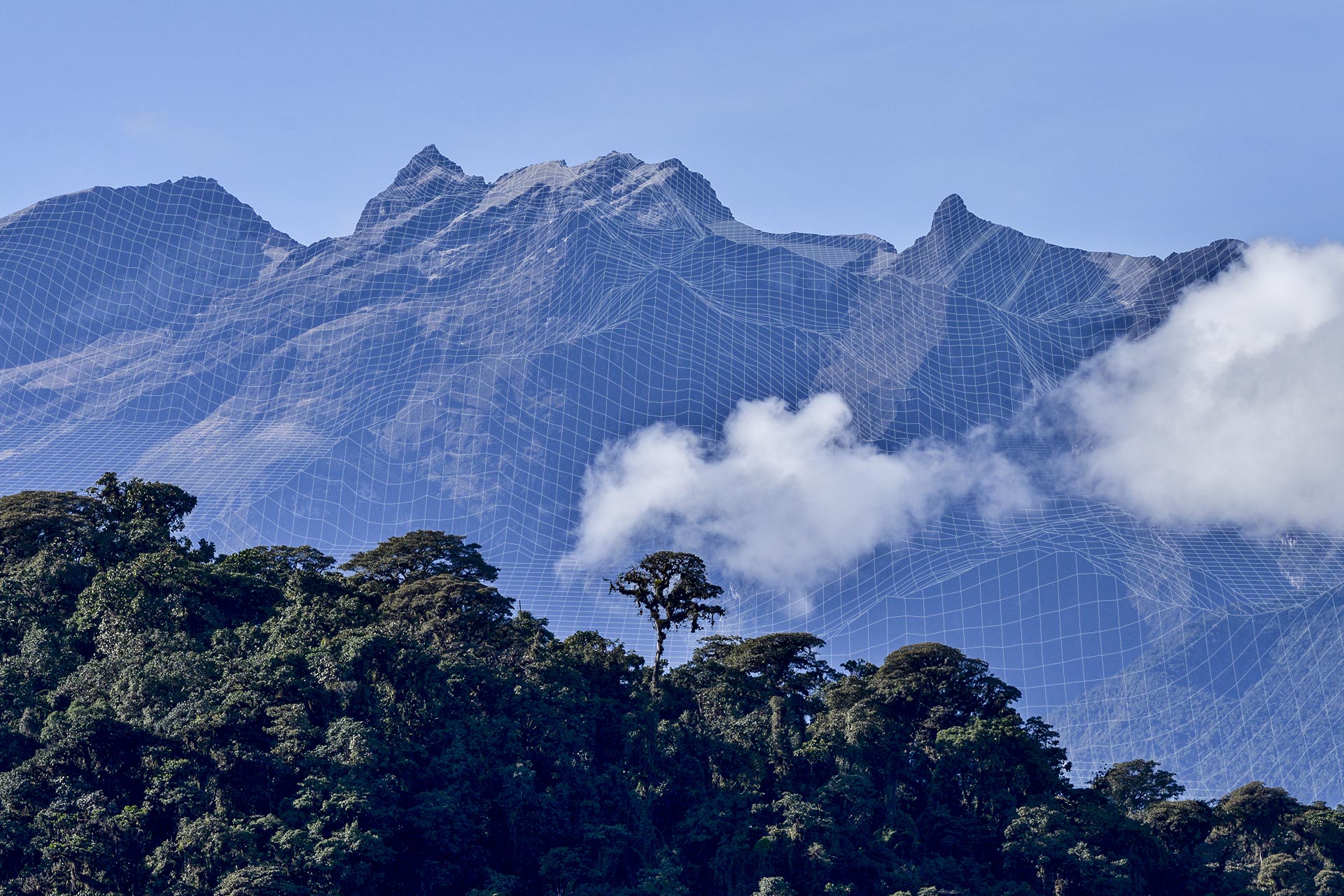 Viaje en realidad virtual en los bosques Andinos Ecuador - Andean Forests
